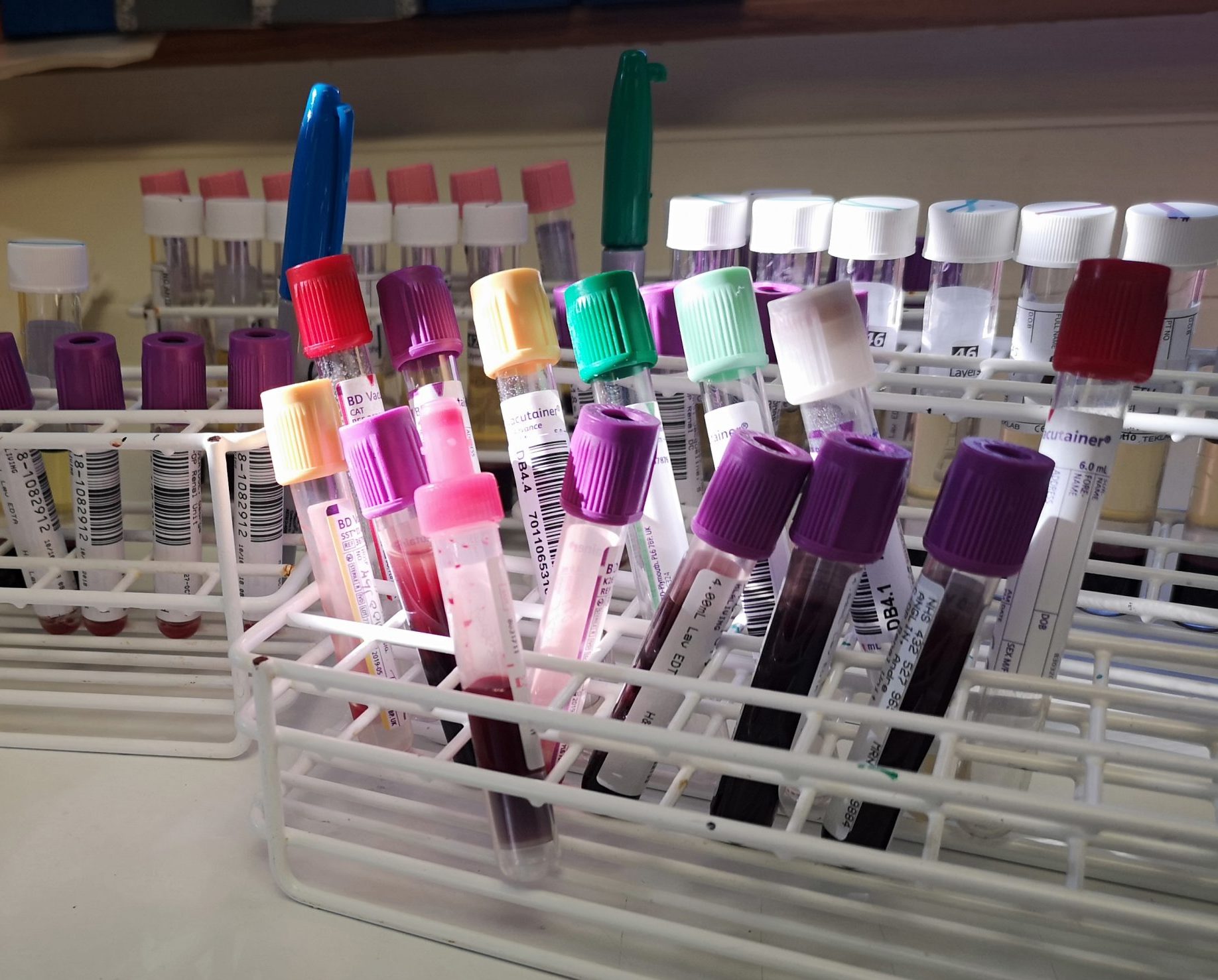 COVID BioArchive Update - QUOD