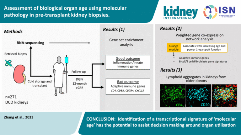 Research highlight: Assessment of biological organ age using molecular pathology in pre ...