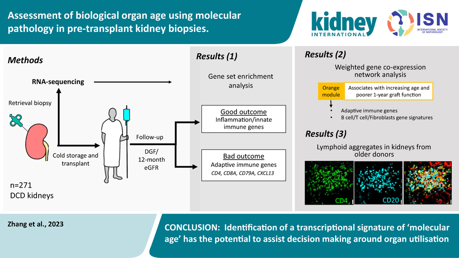Research highlight: Assessment of biological organ age using molecular ...